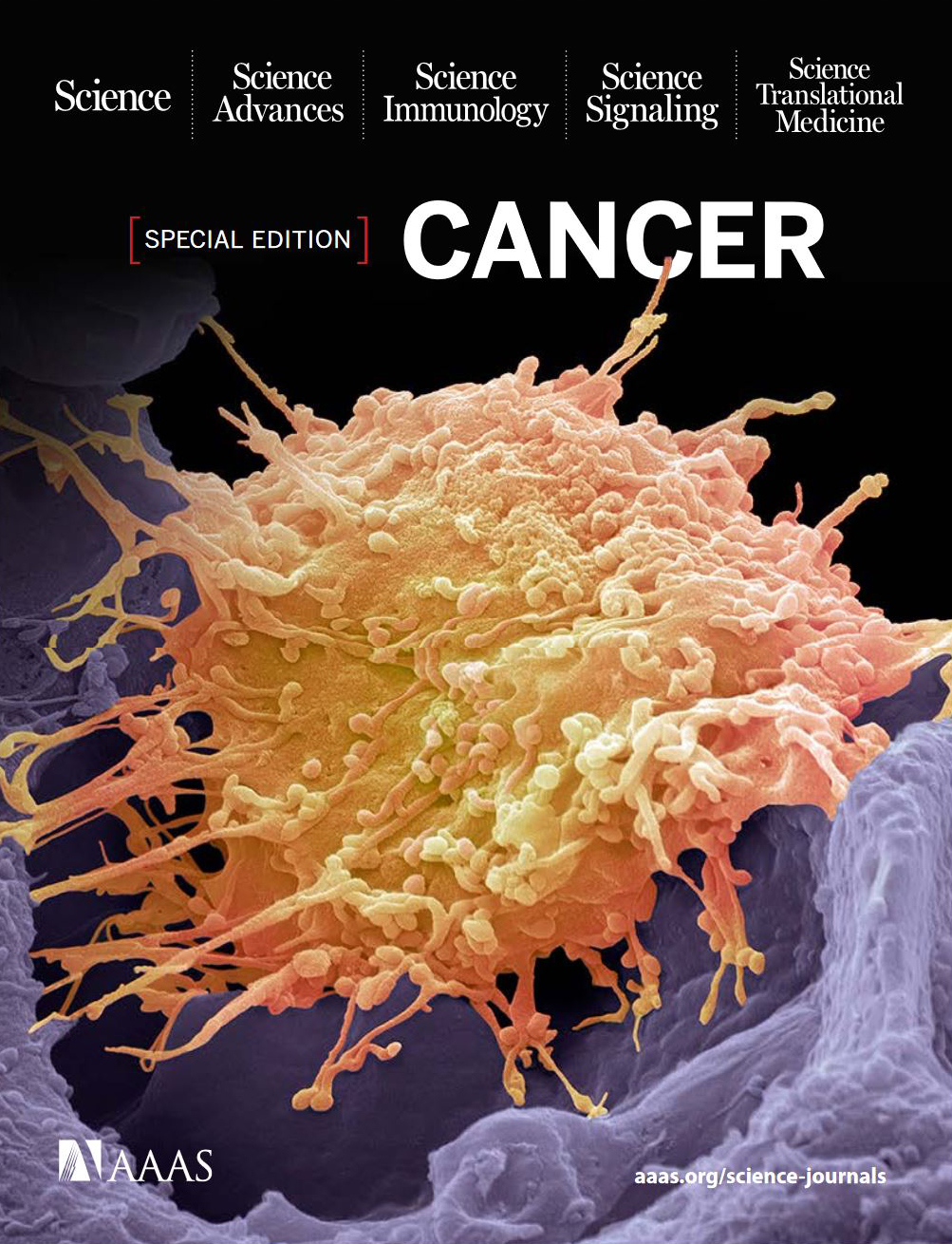 Steve Gschmeissner – Science Photo Library