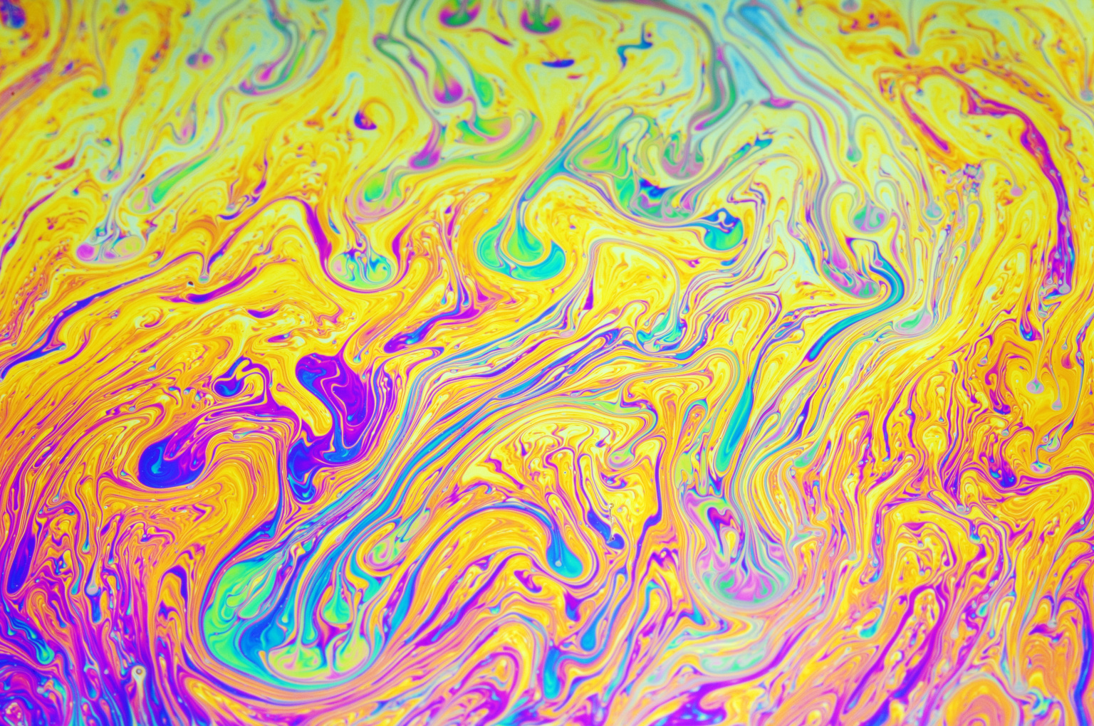 Colour Splash – Science Photo Library