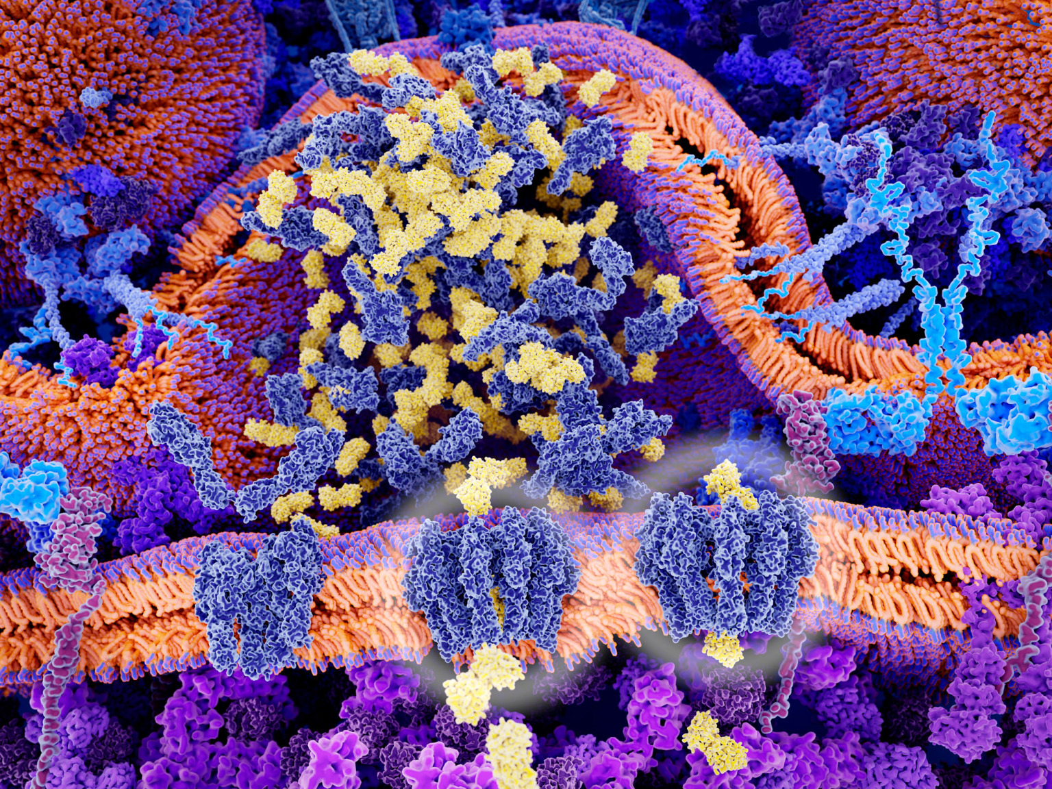 Super system – Science Photo Library