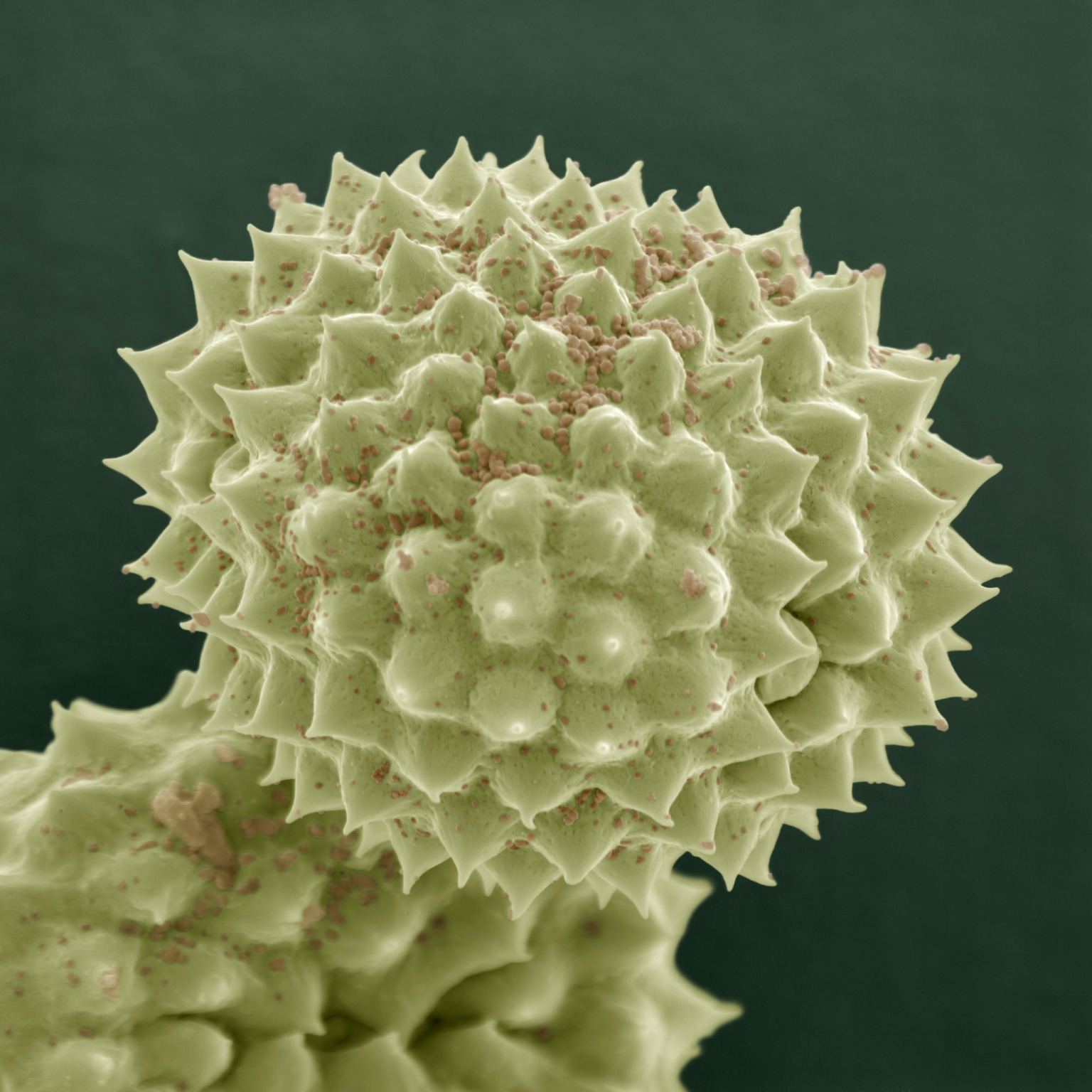 Eye of Science – Science Photo Library