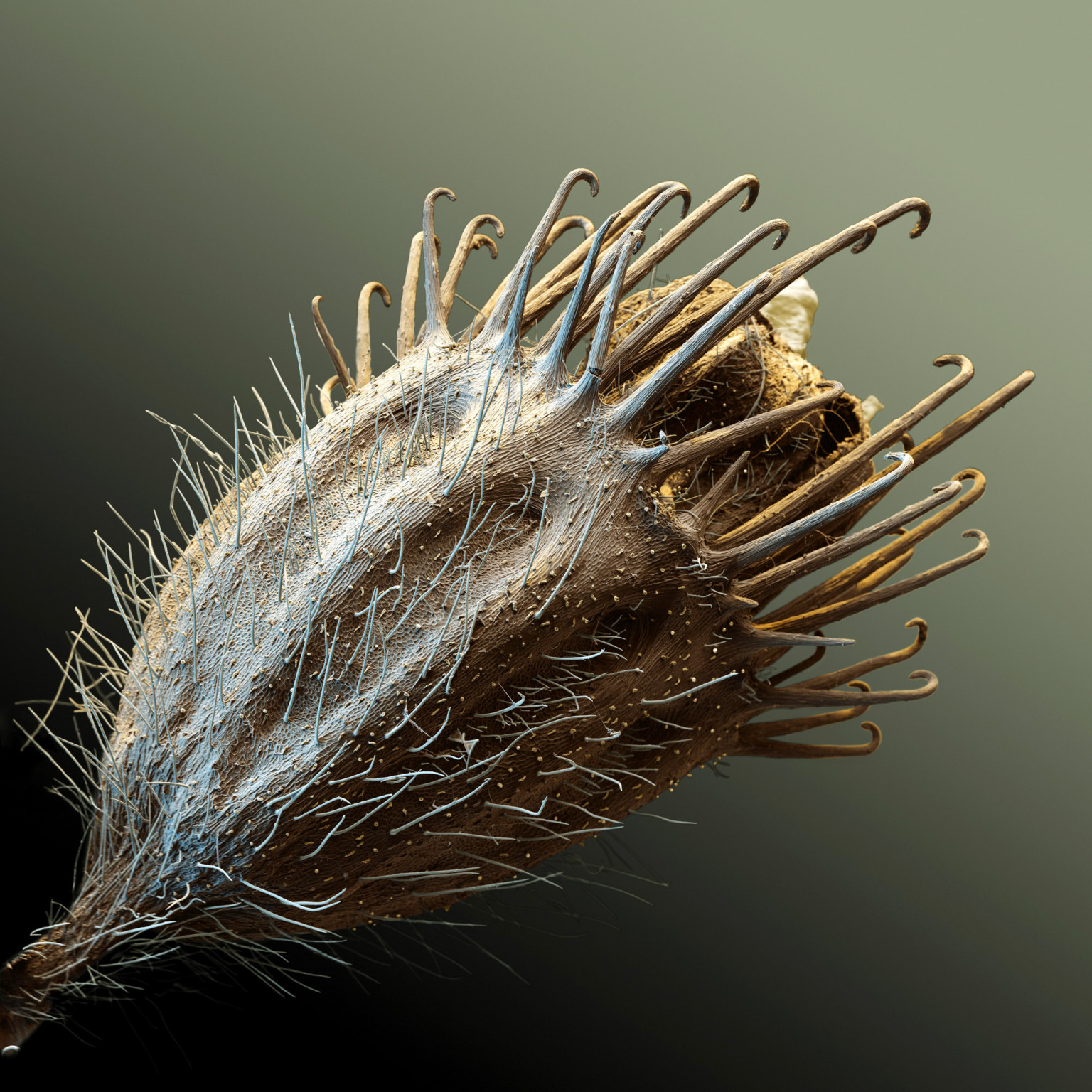 Eye of Science – Science Photo Library