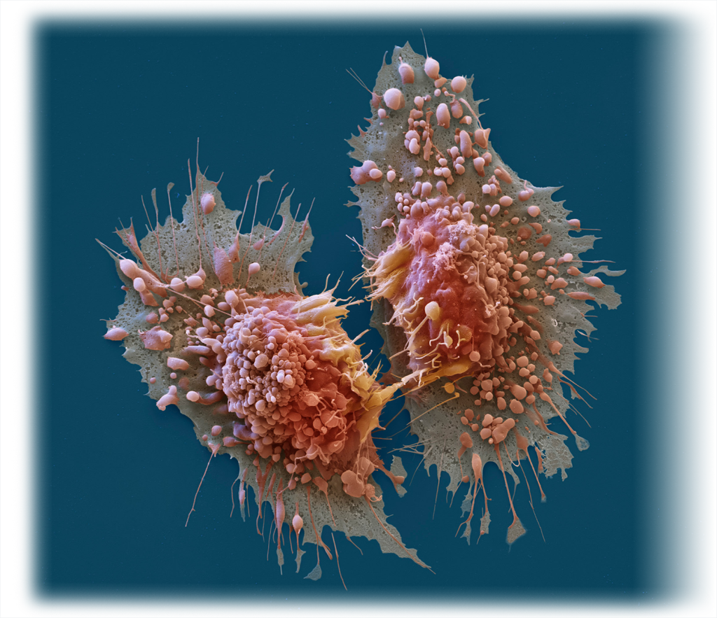 Eye of Science – Science Photo Library