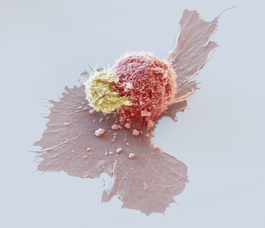 Eye of Science – Science Photo Library