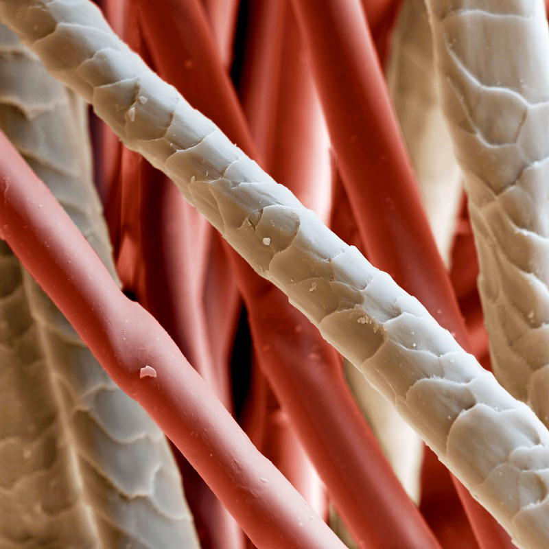 Eye of Science – Science Photo Library