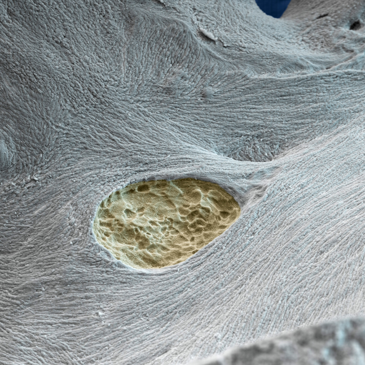 Eye of Science – Science Photo Library