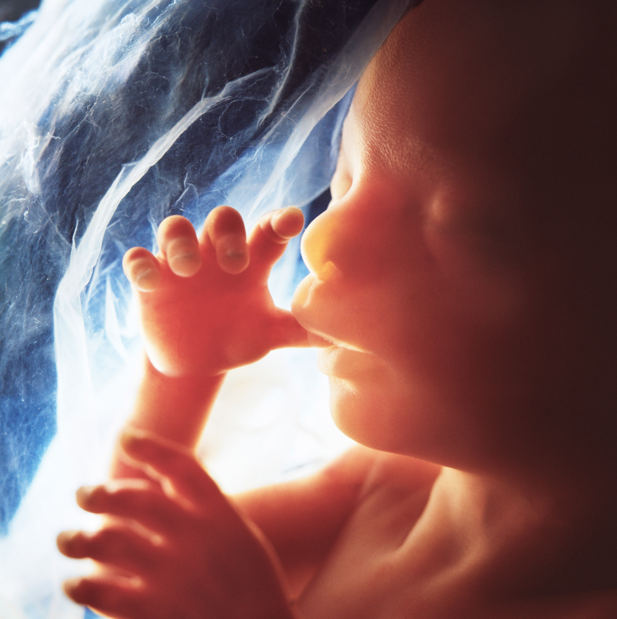 RIVIER UNIVERSITY – Science Photo Library