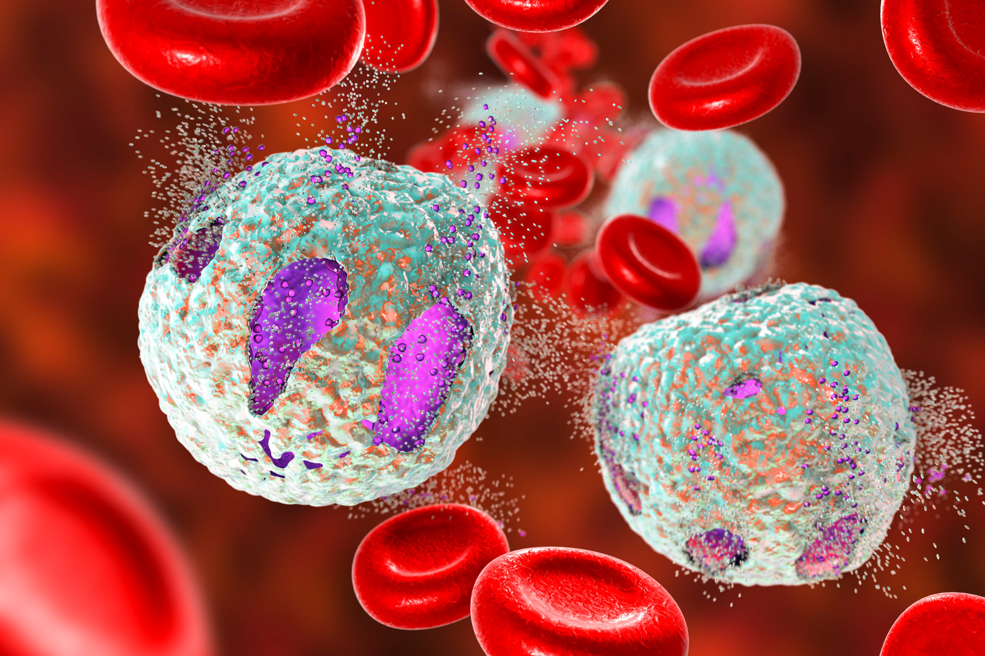 BRITISH SOCIETY FOR HAEMATOLOGY – Science Photo Library