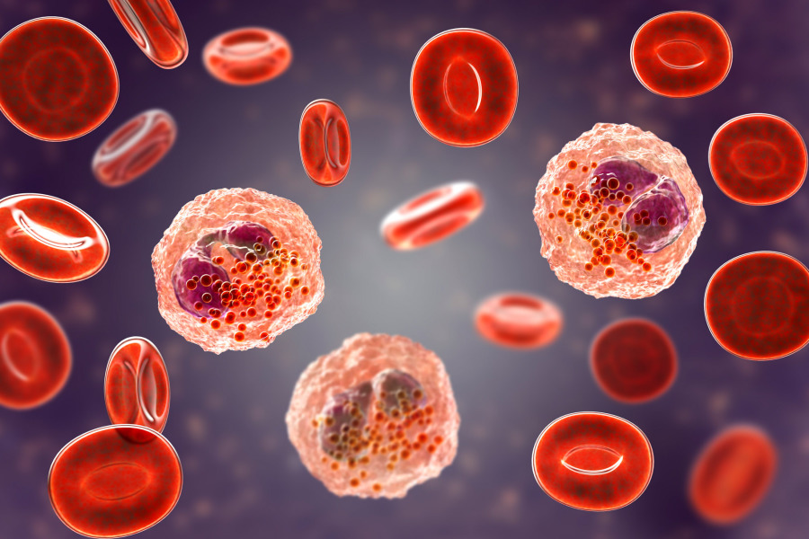 BRITISH SOCIETY FOR HAEMATOLOGY – Science Photo Library