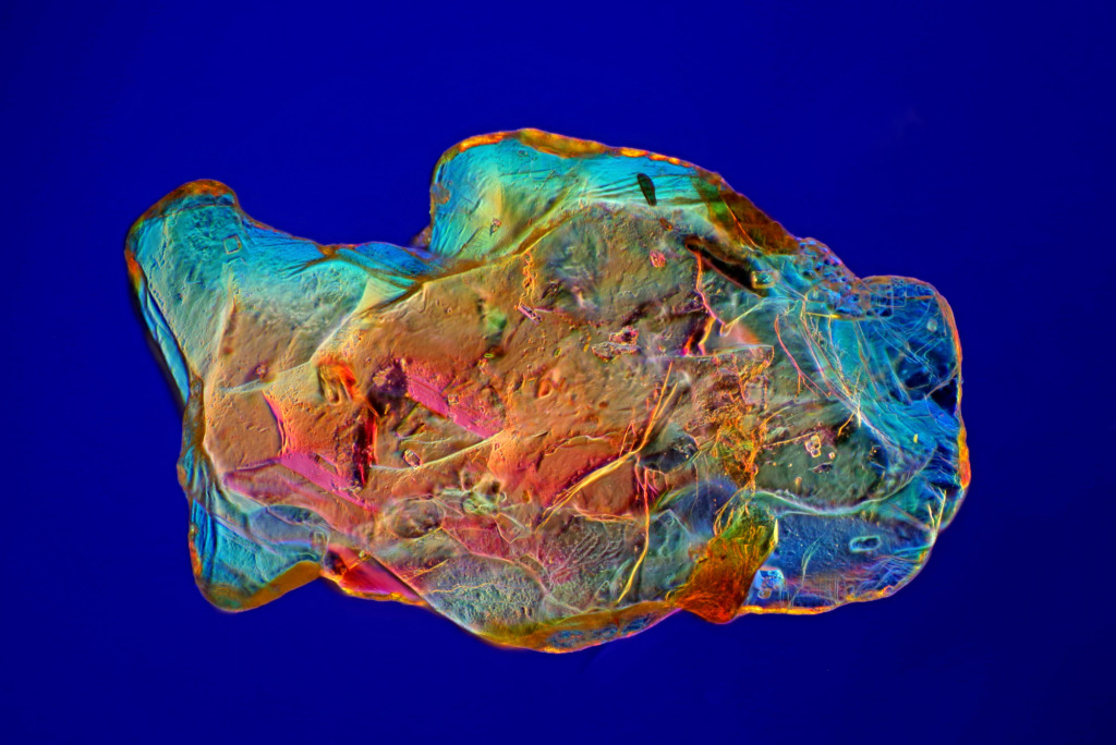 Marek Miś – Science Photo Library