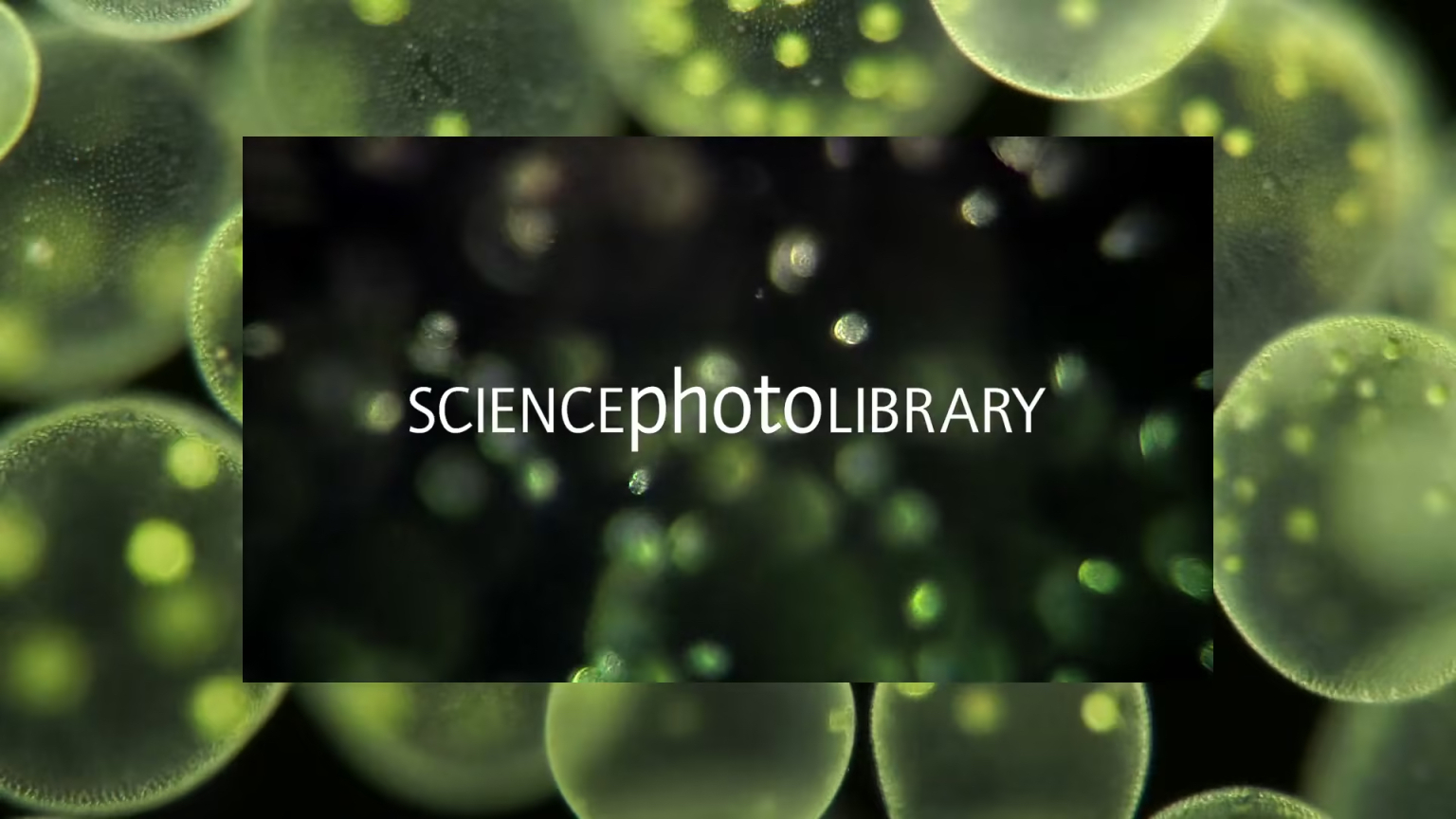 Connect with us – Science Photo Library