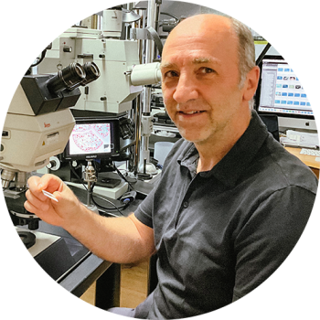 Frank Fox – Science Photo Library