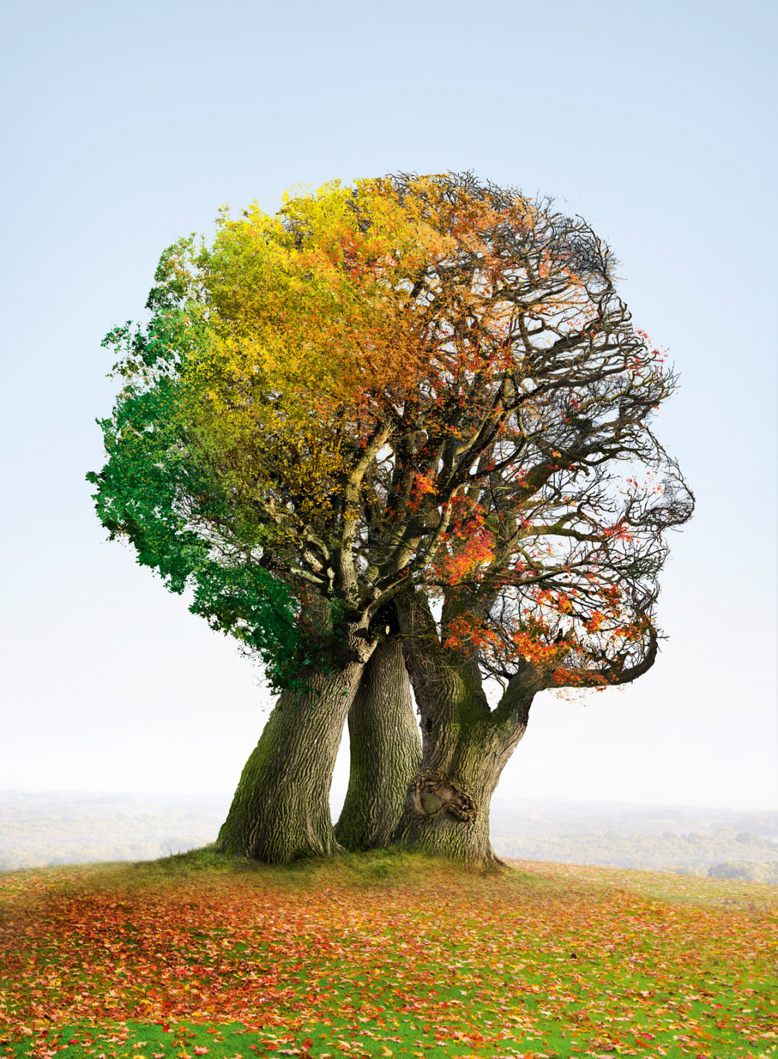 Wieslaw Smetek – Science Photo Library