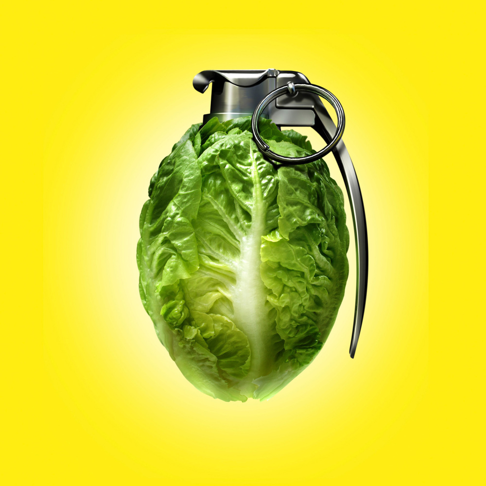 Wieslaw Smetek – Science Photo Library